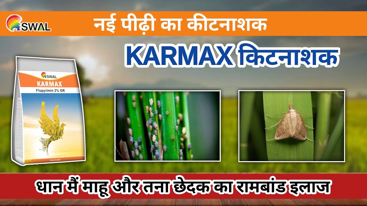 swal karmax insecticide | Flupyrimin 2% GR | पूरी जानकारी हिंदी में ...