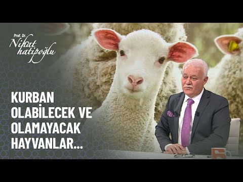 Kurban olabilecek ve olamayacak hayvanlar - Nihat Hatipoğlu ile Kur'an ve Sünnet 322. Bölüm