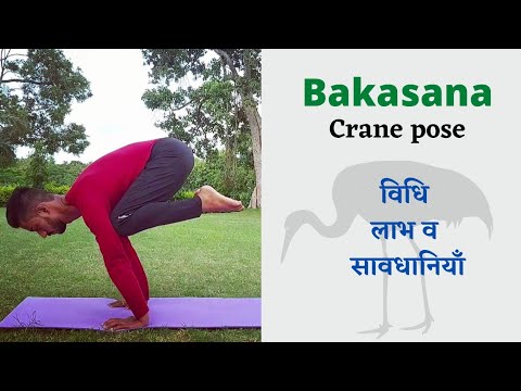 बकासन : विधि, लाभ व सावधानियाँ। Bakasana : Method, Benefits and ...