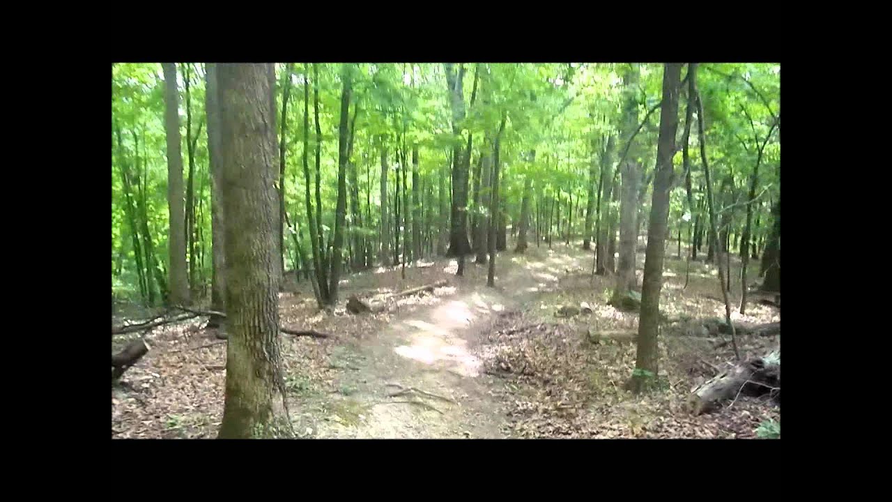 Lime Kiln Trail Rockwoods Reservation - YouTube