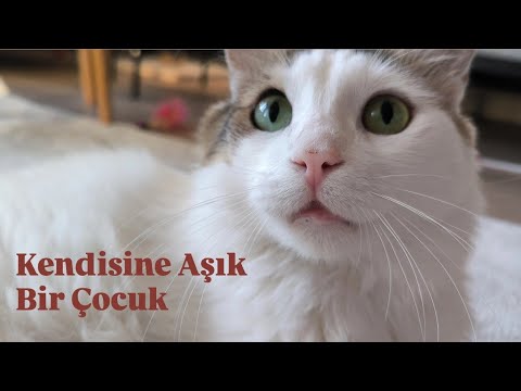 TV'de Kendini Görünce Dayanamadı : Zekeriya ve Kendine Olan Aşkı 🩷