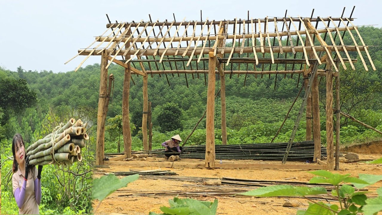 How to make a unique, adventurous wooden house and rescue rare forest ...