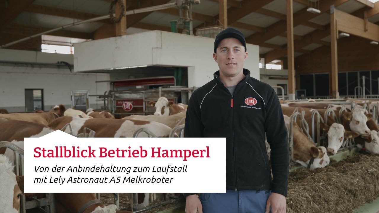 Von der Anbindehaltung zum Laufstall mit Lely Astronaut A5 Melkroboter | Stall-Blick ...