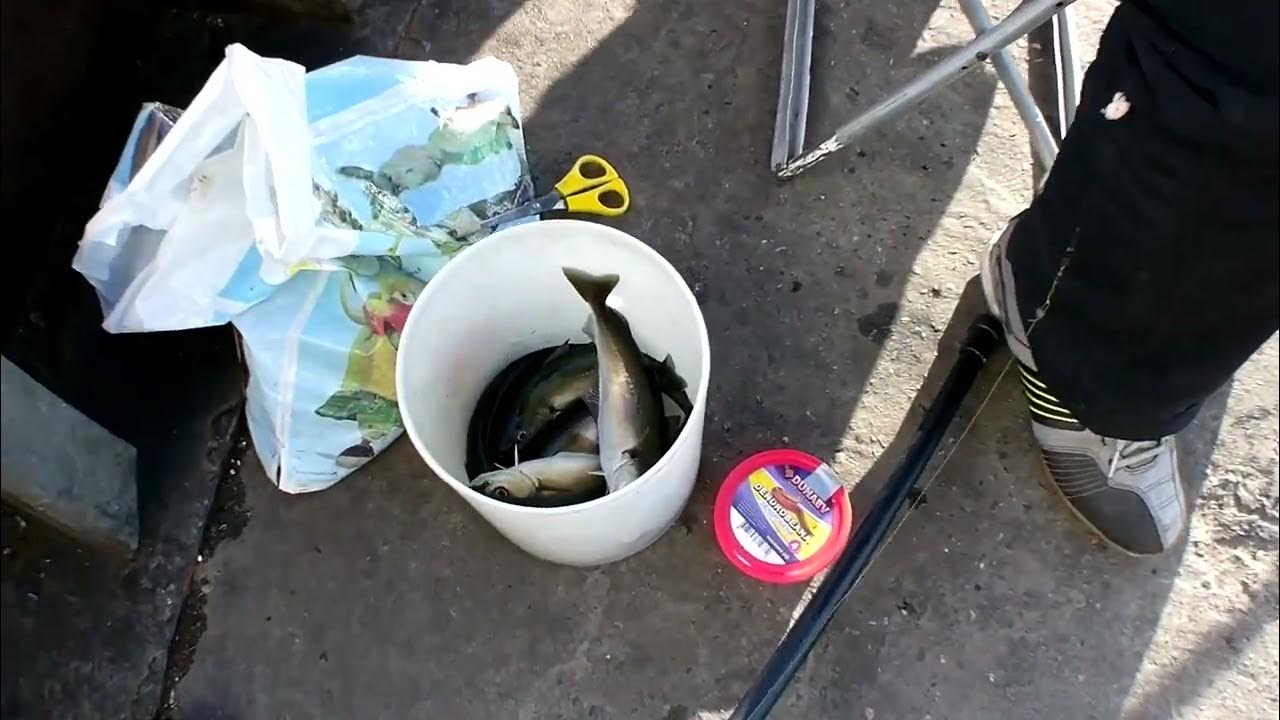 МУРМАНСК. Рыбалка с плавпричала. - YouTube