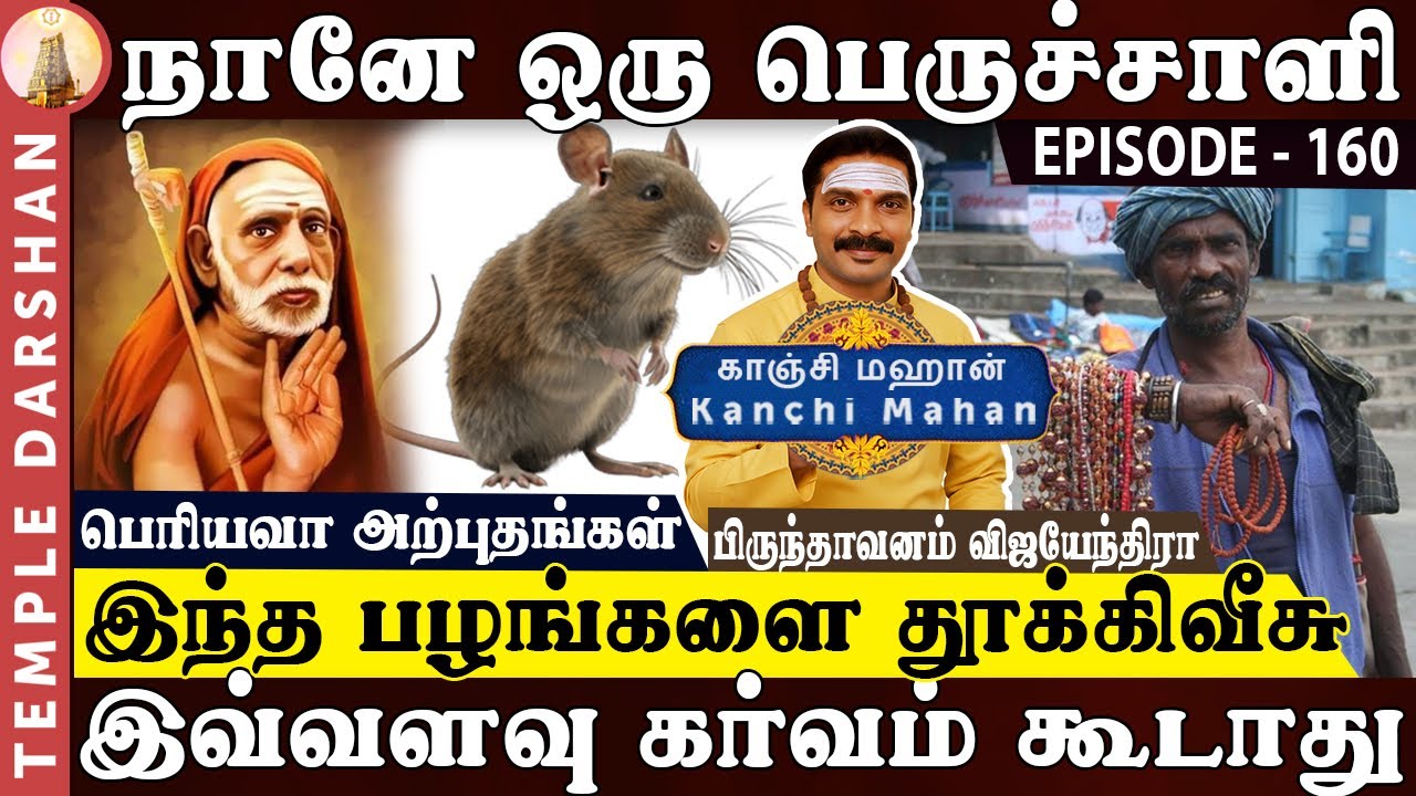 நானே ஒரு பெருச்சாளி | இவ்வளவு கர்வம் கூடாது | Kanchi Mahan | Peruchali ...
