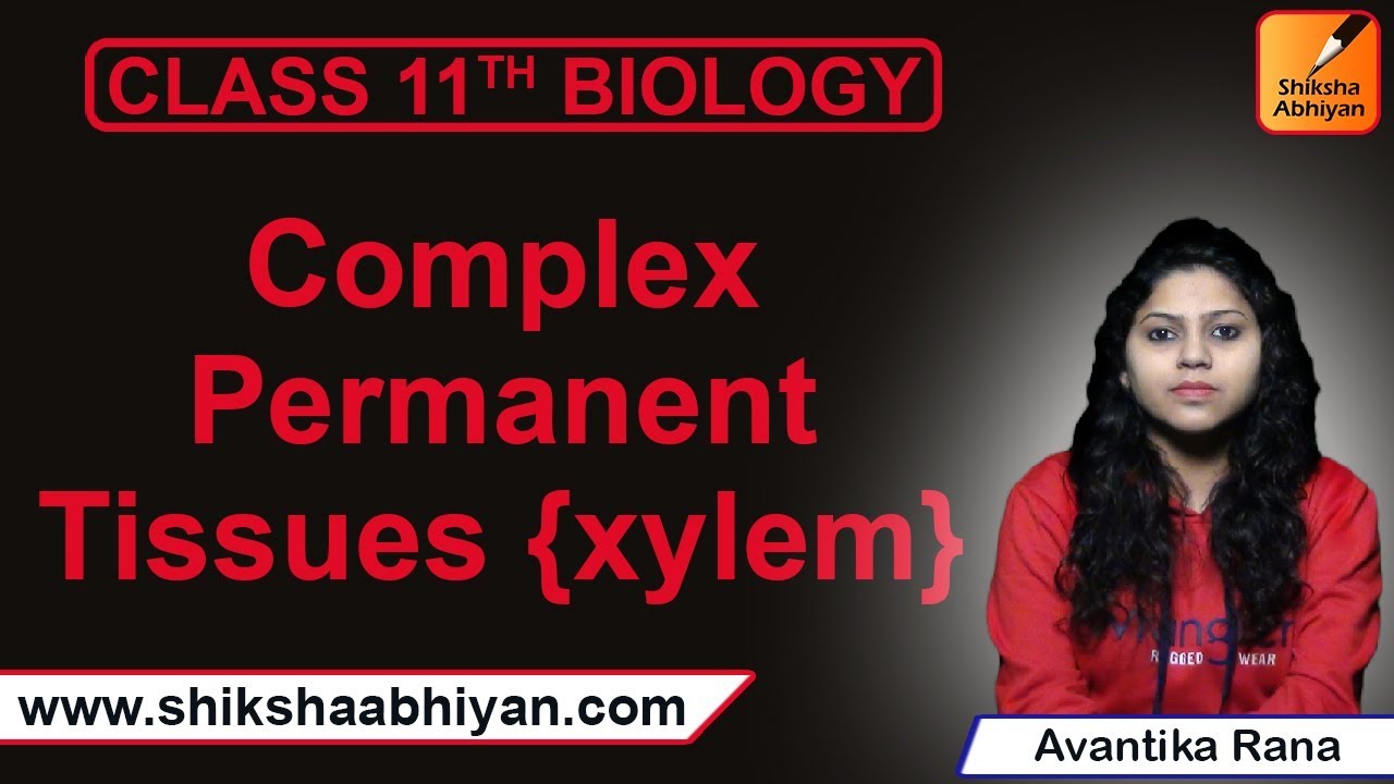 Complex Permanent Tissues {Xylem}-#CBSE Class 11 Biology - YouTube
