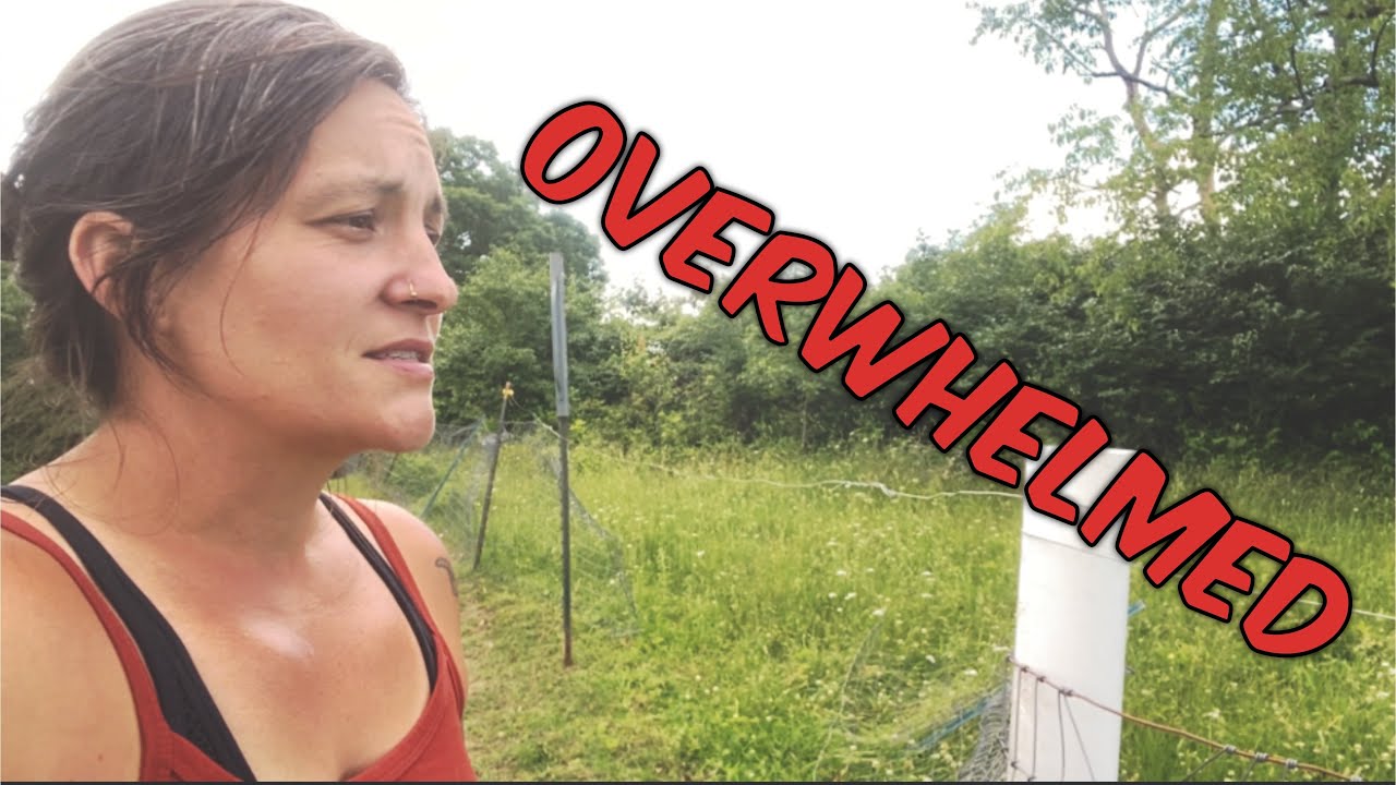 The Season of Overwhelm - YouTube