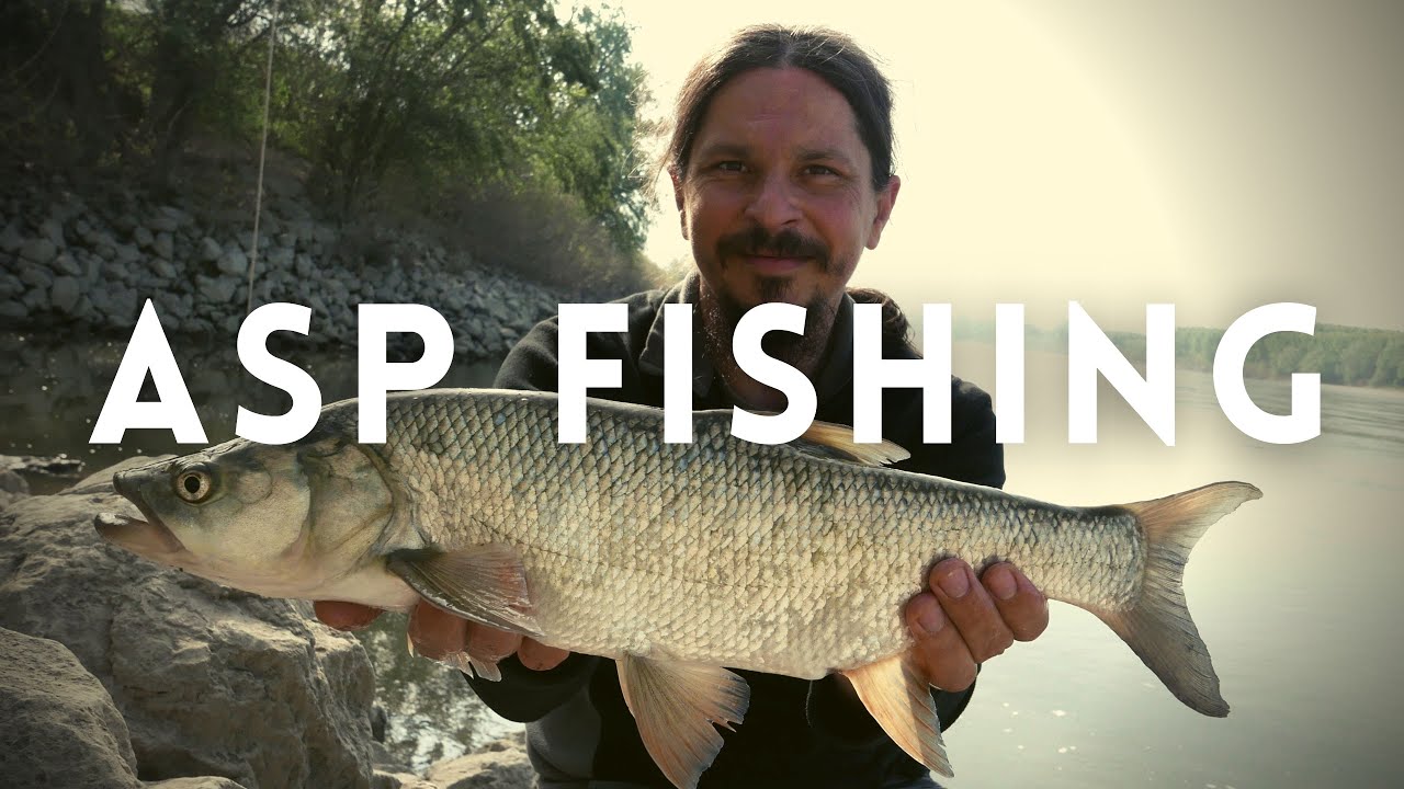 ASP Fishing in early May ... - YouTube