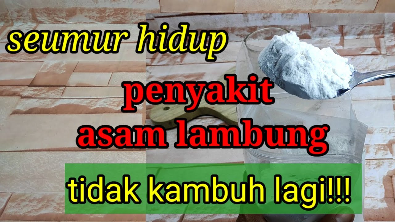 cara mengobati asam lambung cepat dan mudah dengan pati kirut - YouTube