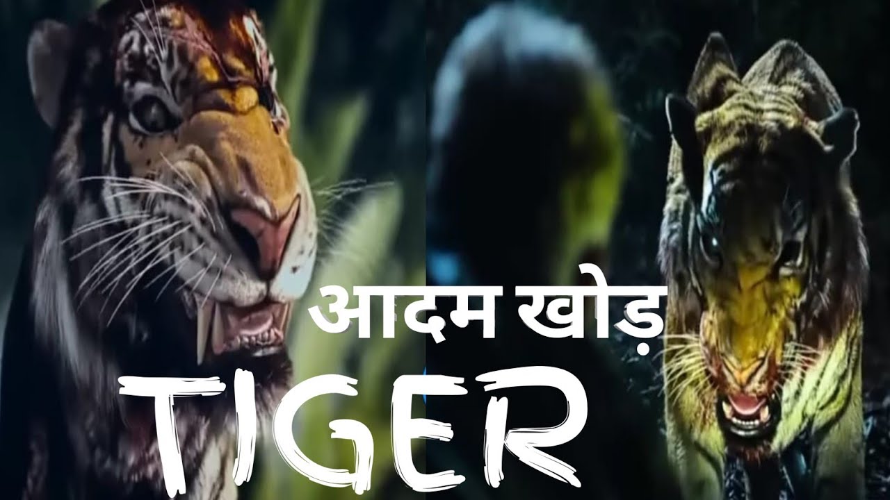 आदम खोड़ TIGER Short movie | entertainment short The tiger movie | # ...