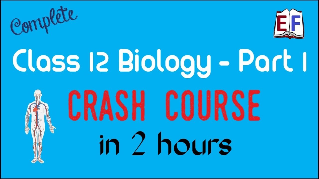 Class 12 Biology #1 | Revision in 2 hrs | CBSE - YouTube