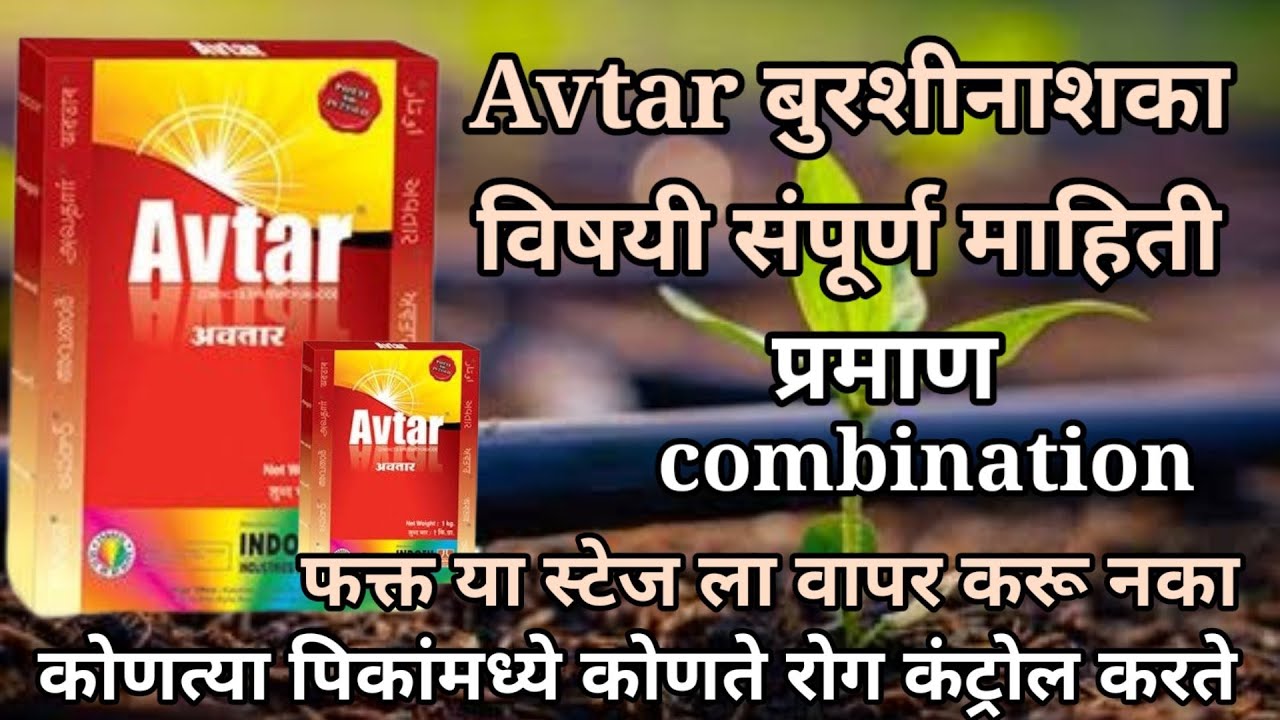Avtar बुरशीनाशक |Avtar fungicide price |Avtar indofil fungicide|Avtar ...