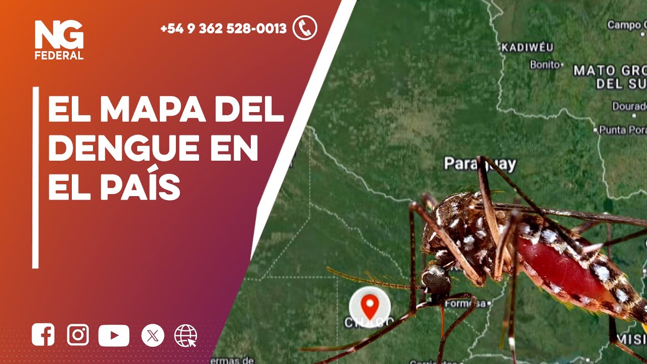 NGFEDERAL - EL MAPA DEL DENGUE EN EL PAÍS - YouTube