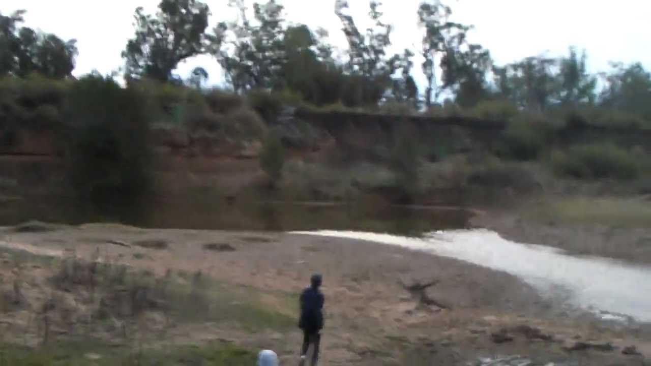 MacIntyre River near Yetman NSW somewhere - YouTube