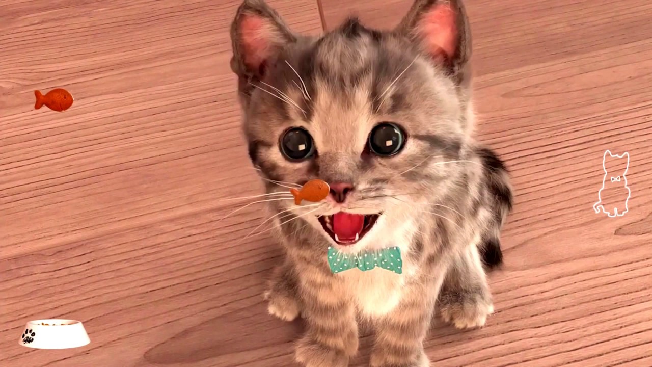 Kids Learning Games - Fun Little Cat Animation Games for Children - Fun ...