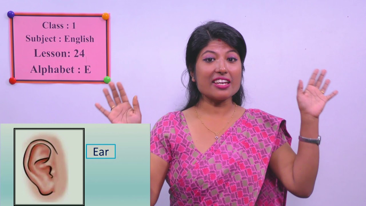 19. Class-1 । English । Lesson-24 । Alphabet E । - YouTube
