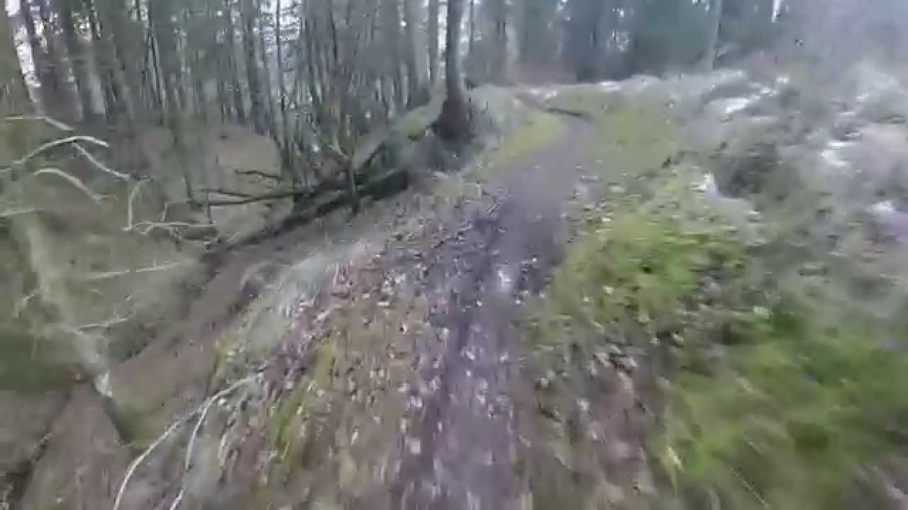 7stanes Newcastleton Mountainbiking. - YouTube