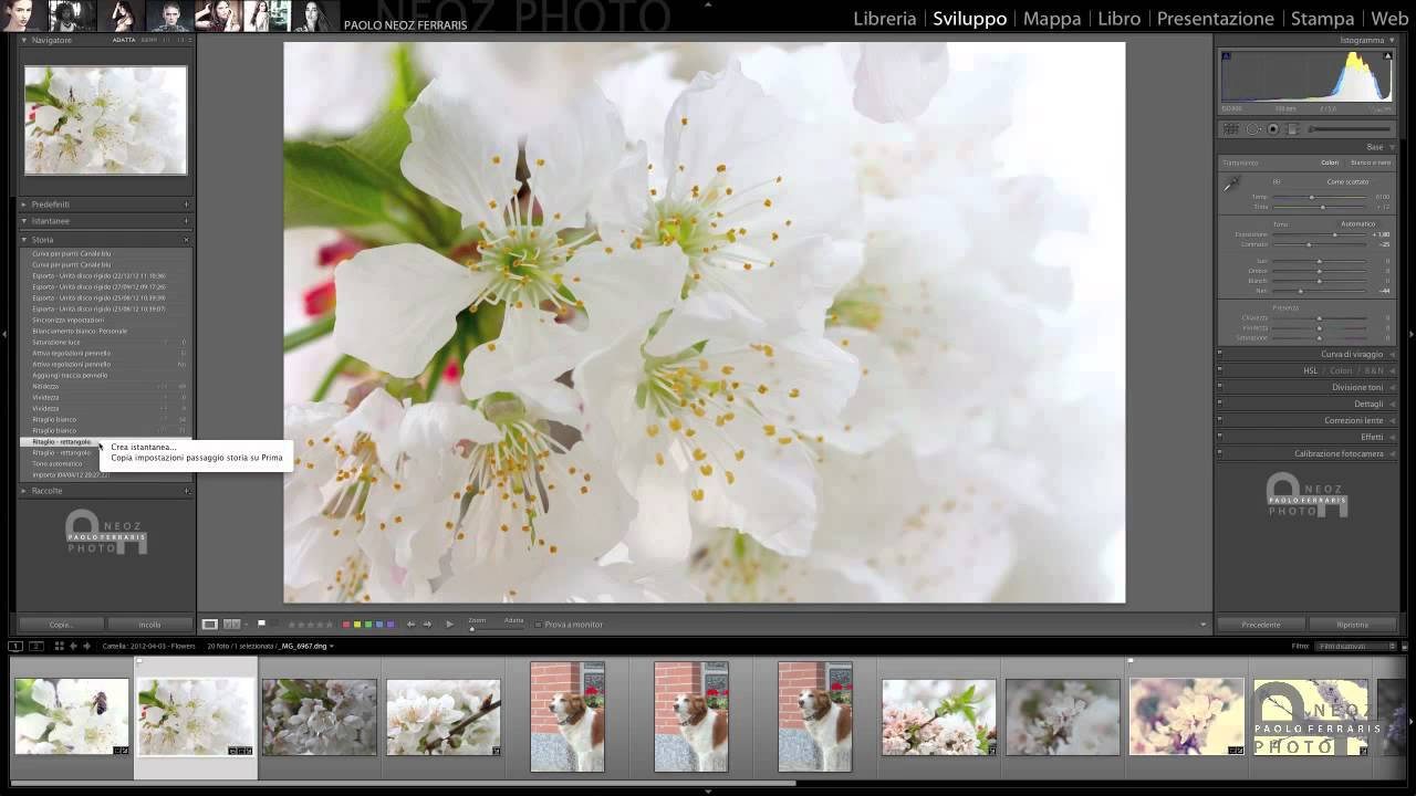 Lightroom - Video Tutorial Copie Virtuali - Parte 2 : utilizzi avanzati ...