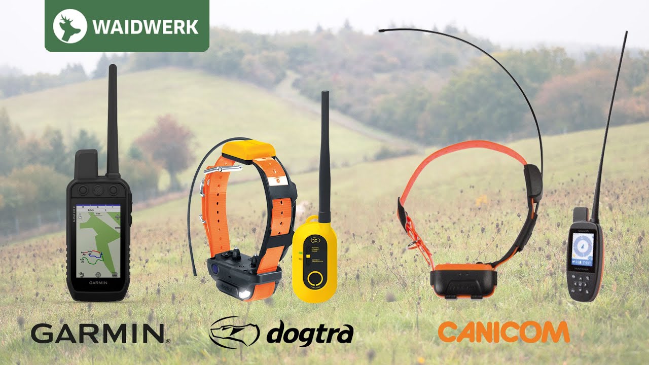 Hundeortung – Garmin, Canicom und Dogtra im Vergleich - YouTube
