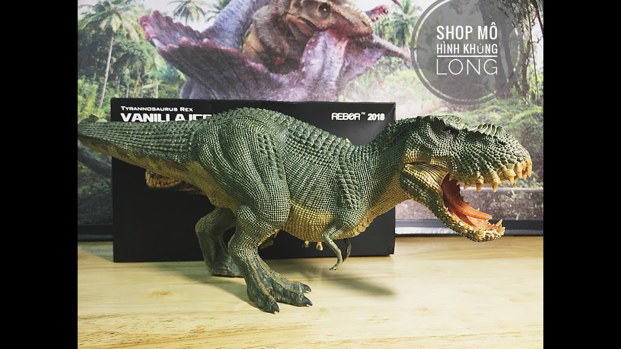 Shop Mô Hình Khủng Long-V-Rex - Rebor 1/35 - YouTube