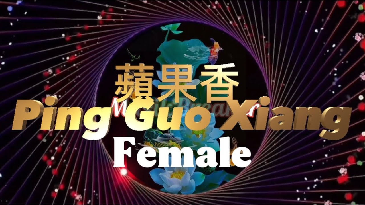 蘋果香 Ping Guo Xiang - 杨雯梓 Yang Wen Zi - YouTube