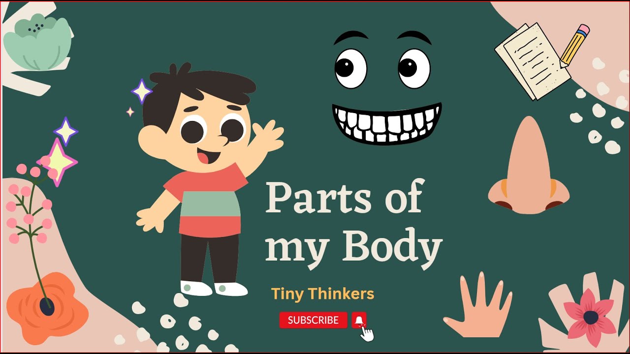 Human Body Part Names | Kids Learning | Fun Learning|Children| English ...