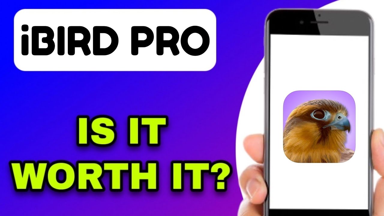 iBIRD PRO GUIDE MOBILE APP REVIEW - IS IT WORTH IT? (EXPLAINED) - YouTube