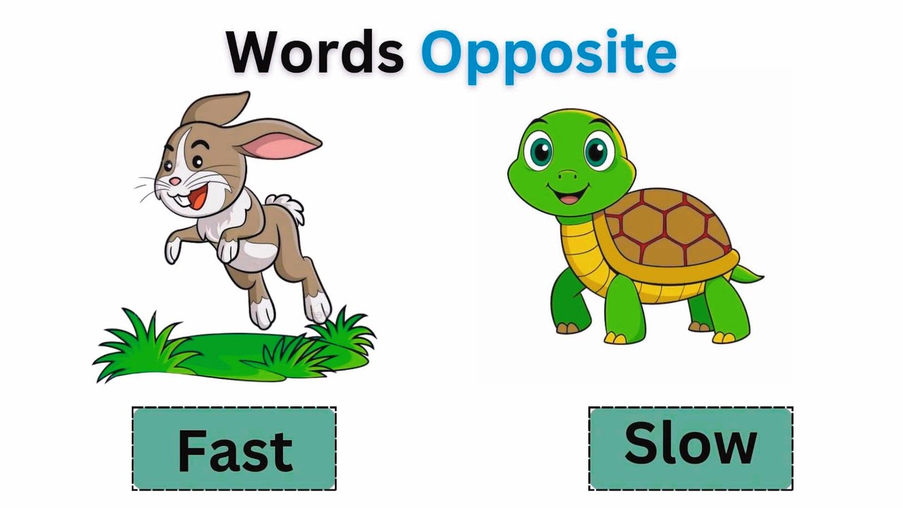 Learn Opposite Words | Easy English Antonyms for Kids | Affan Toons ...