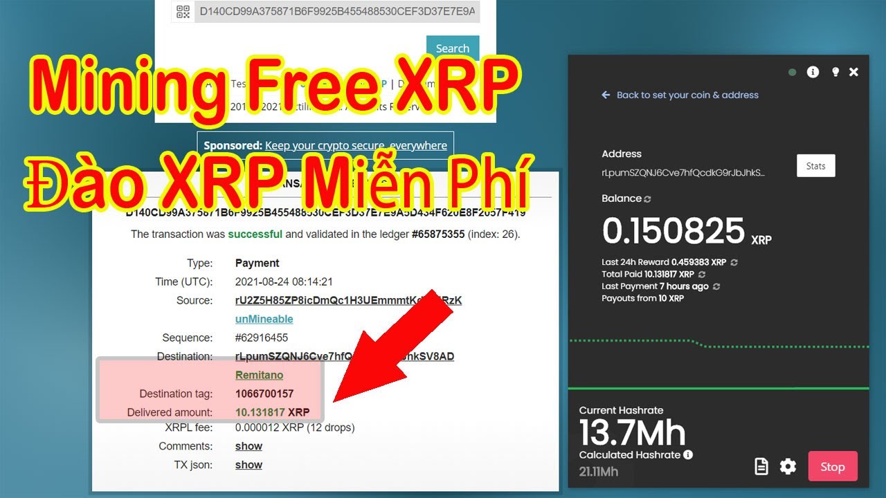 Kiếm XRP Miễn Phí - Mining XRP With Unmineable - Tự Học MMO - YouTube
