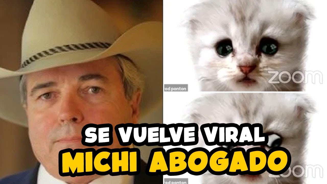 EL MICHI ABOGADO | SE VUELVE VIRAL | EN REDES SOCIALES - YouTube