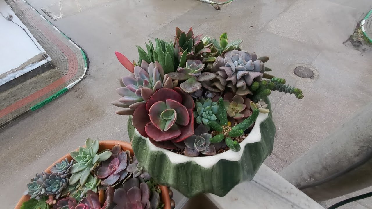 DEV ATLAS AKSAM 8 DE INCIHANEM.INSTEGRAM DA SATISTA HERKEZ DAVETLİM - YouTube