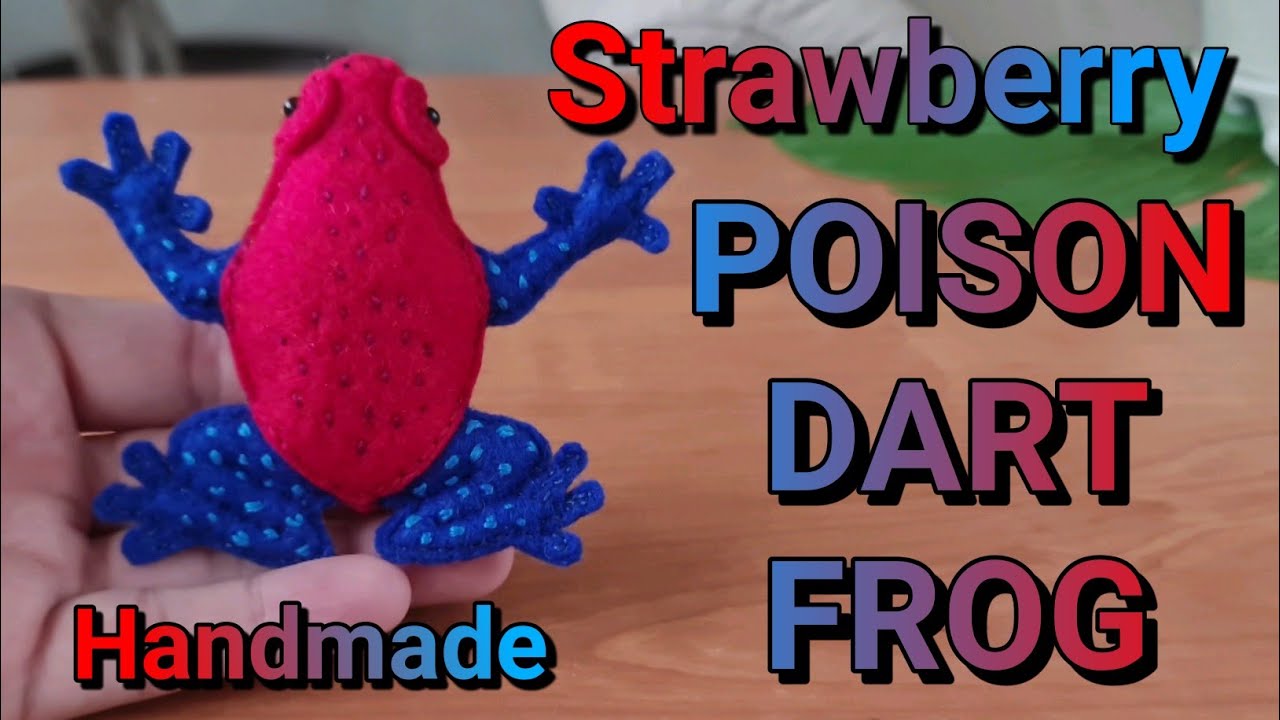 Handmade Strawberry POISON DART FROG 🐸 / Felt Animal Toy / Home Decor ...