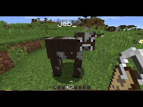 KOLOROWA OWCA ?! TUTORIAL MINECRAFT ♥ - YouTube