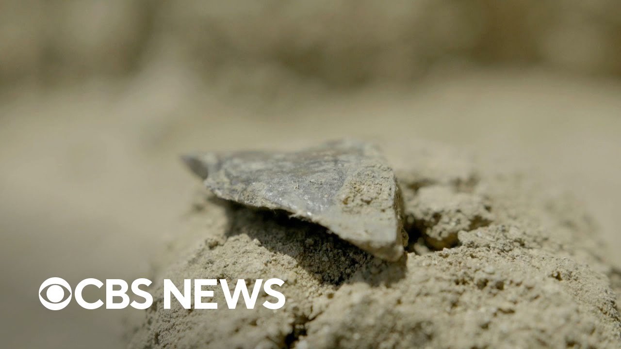 Archaeologists discover ancient tools dating back millions of years ...