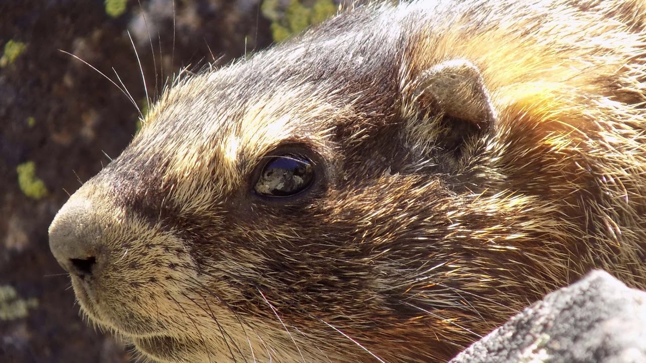 A little trip to the USA , May 2017 (Vojtech) - YouTube