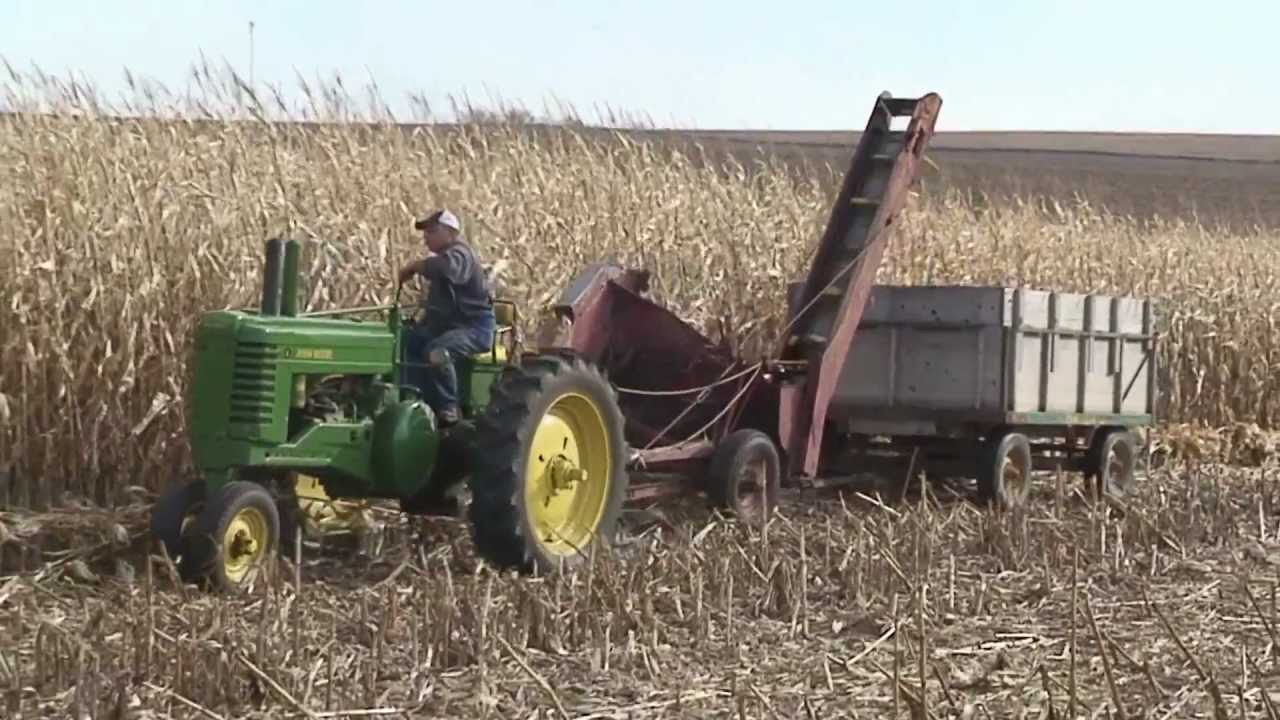 Corn Picking 2012 - YouTube