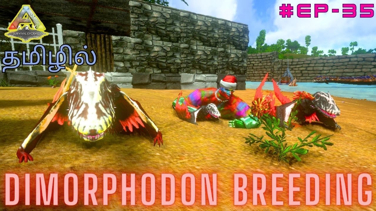 How To Breed Dimorphodon / Breeding Series / Ark Survival Evolved ...