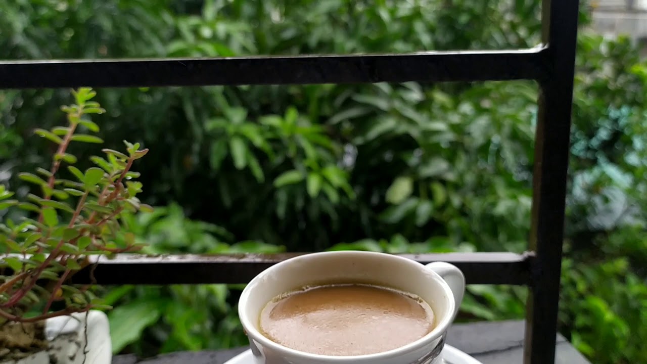 tea & rain 😍💙☕ - YouTube