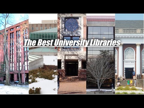 What Makes a Good University Library? (ft. W&M, UMich, BYU, NYU, UVA ...