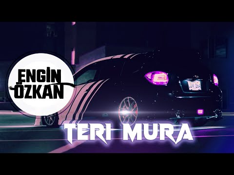 Arabic Remix - Teri Mura’ Engin Özkan