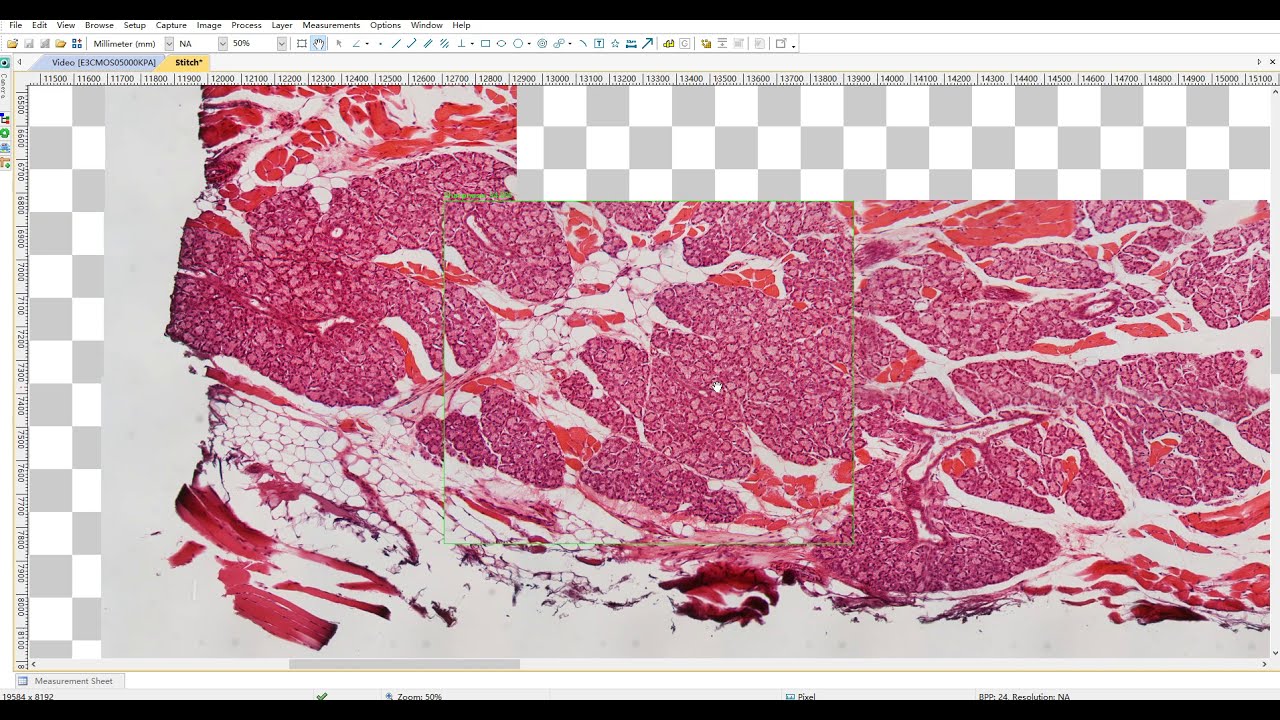 live stitching demo OptiView - YouTube