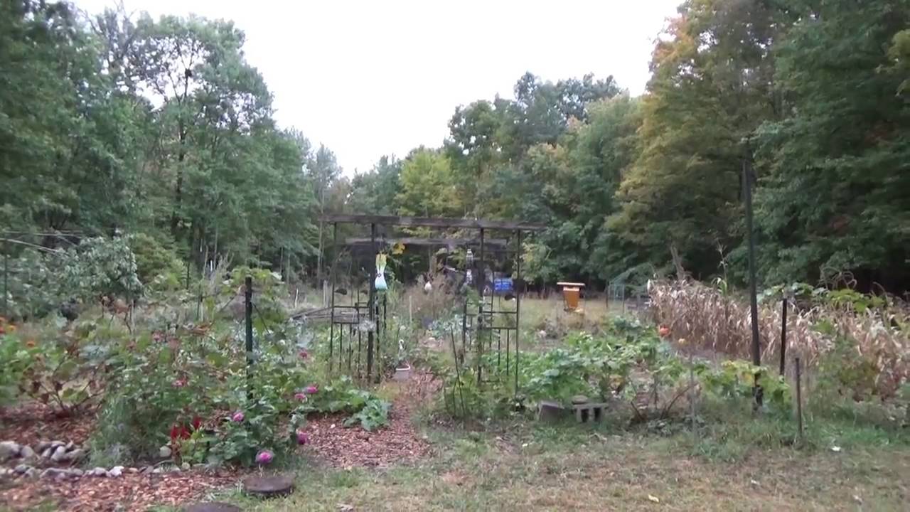 Lazy Rainy Day At The Homestead But Out Of Water - YouTube