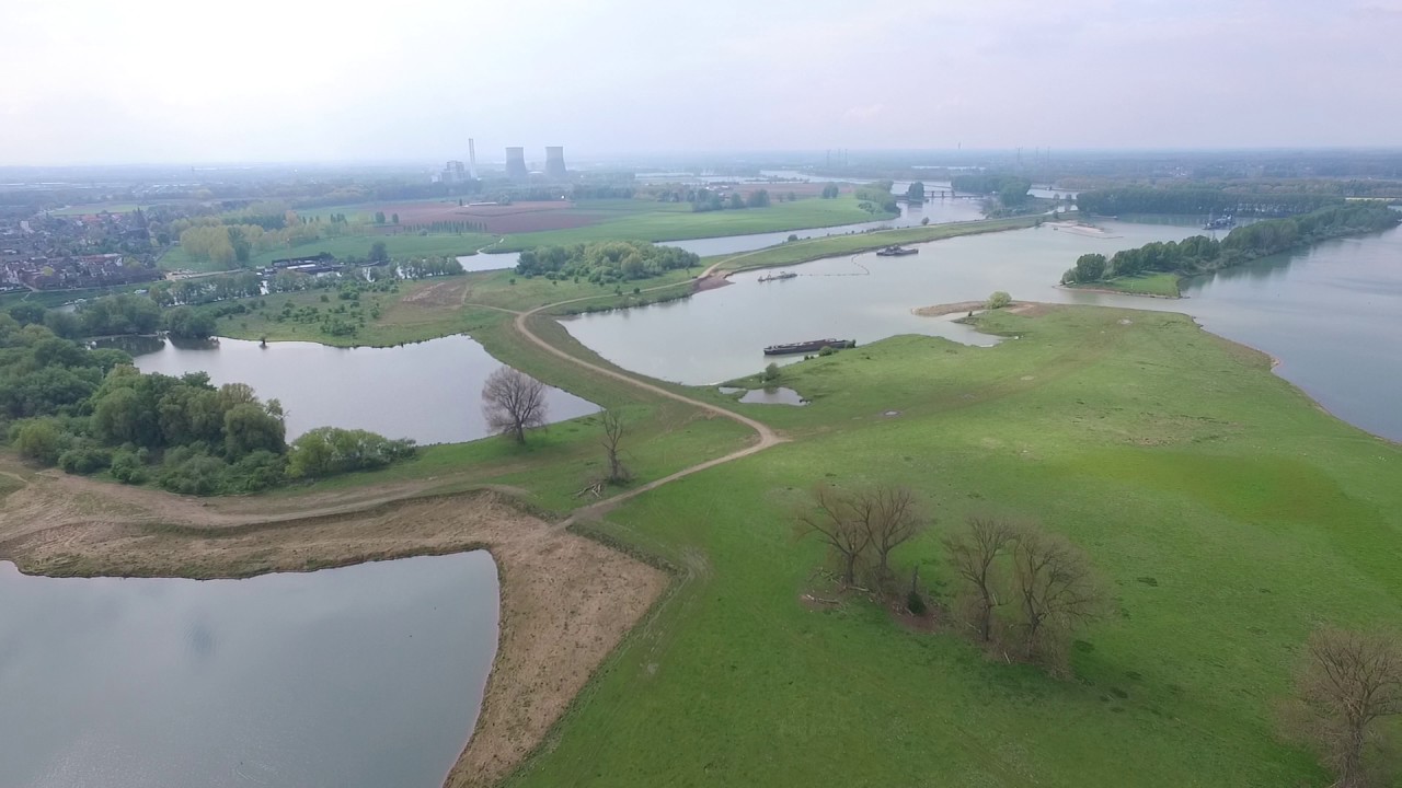 Rivier de Maas. Lus bij Linne. - YouTube