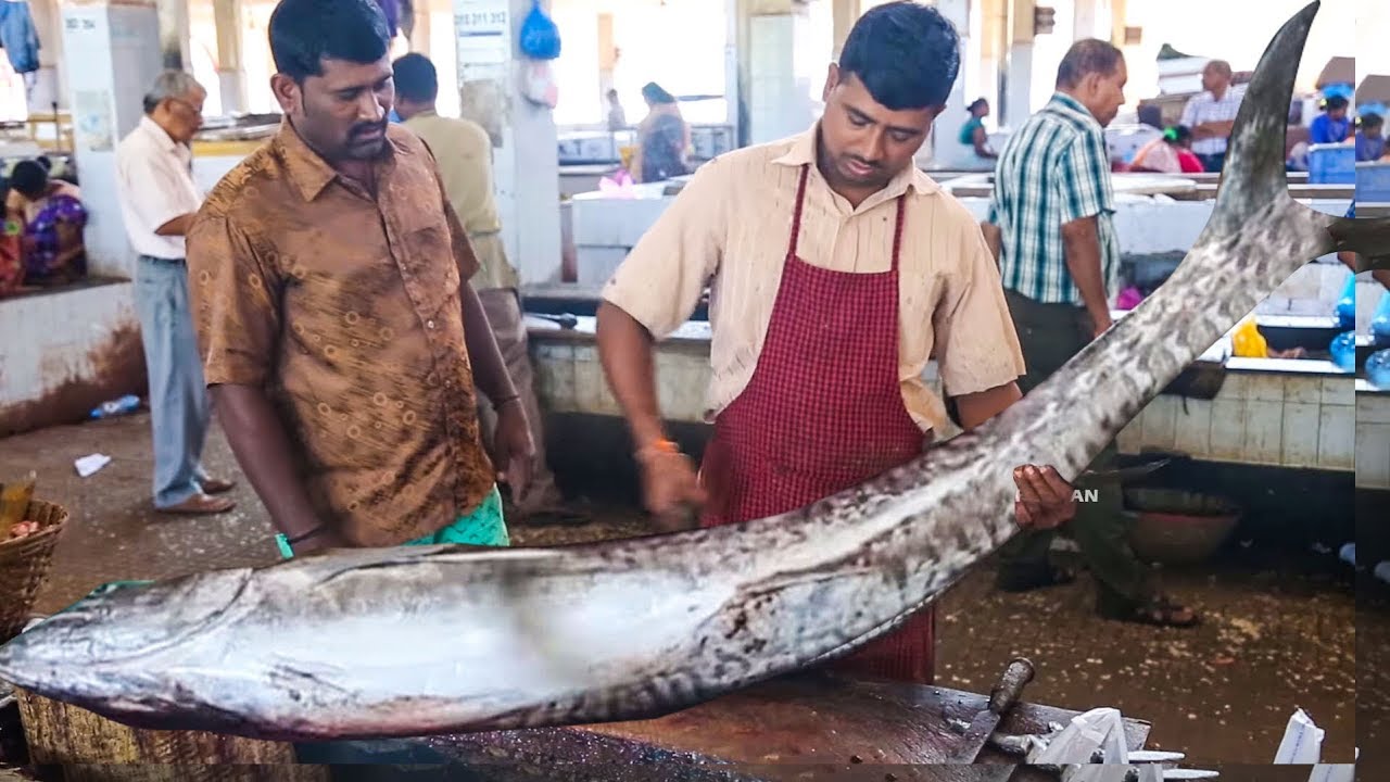 Amazing KING Fish Cutting and Cleaning | Fish Trapping - YouTube