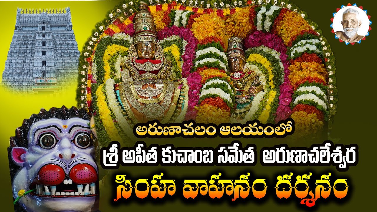 అరుణాచలం ఆలయంలో శ్రీ అపీత కుచాంబ సమేత అరుణాచలేశ్వర సింహ వాహనం ...