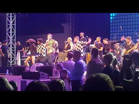 edis kusadası altın güvercin