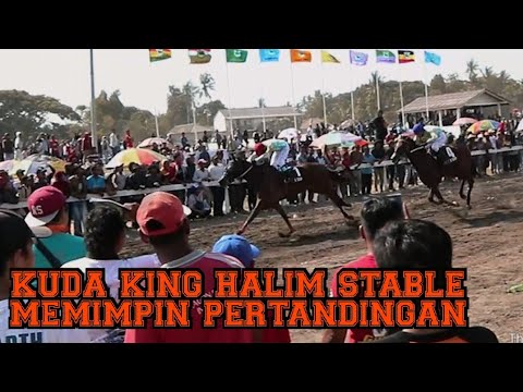 KING HALIM STABLE BORONG JUARA_CALON DERBY 1400 M_PACUAN KUDA PIALA ...