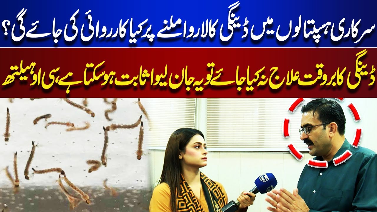 What Actions Are Taken When Dengue Larva Are Found in Hospitals? | CO ...
