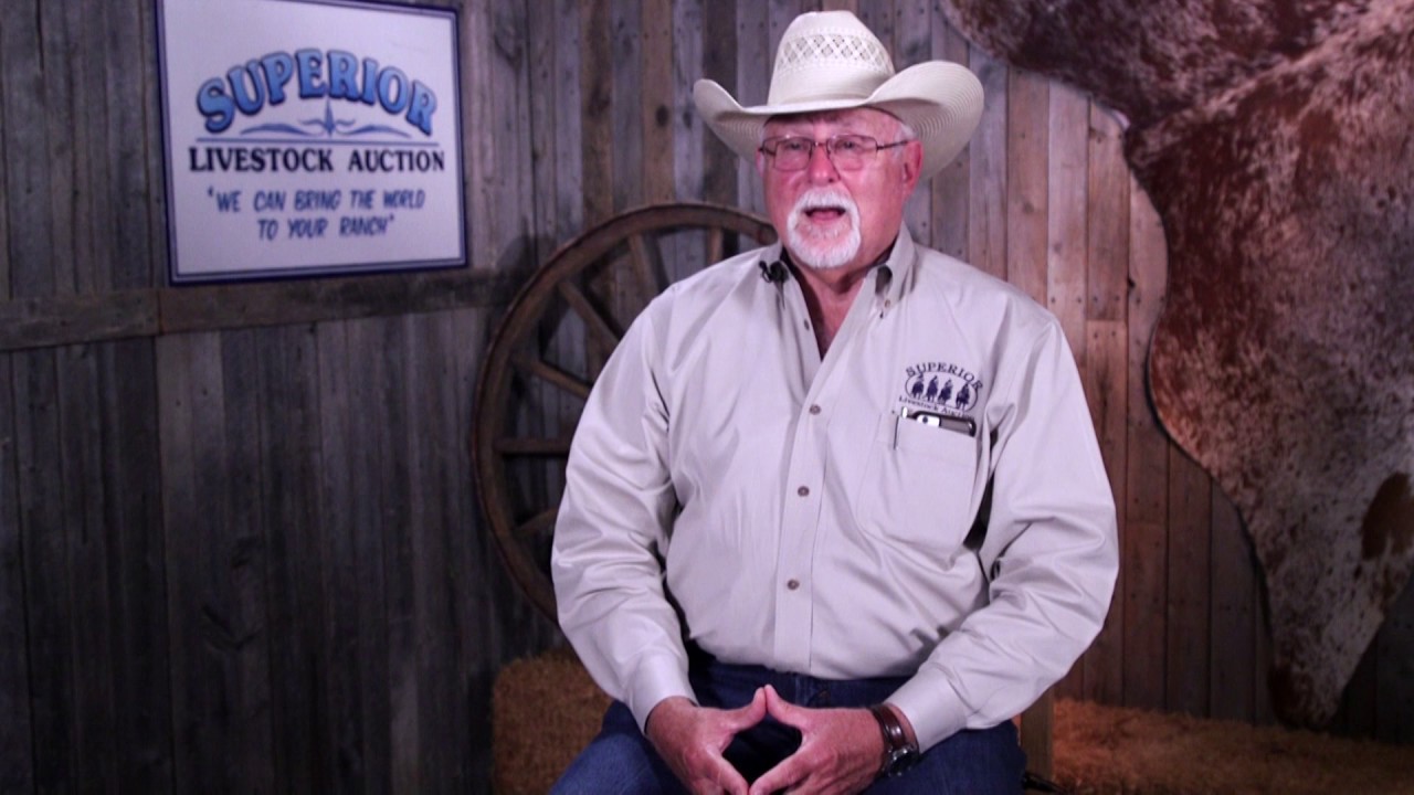 Meet Ed Herron - YouTube