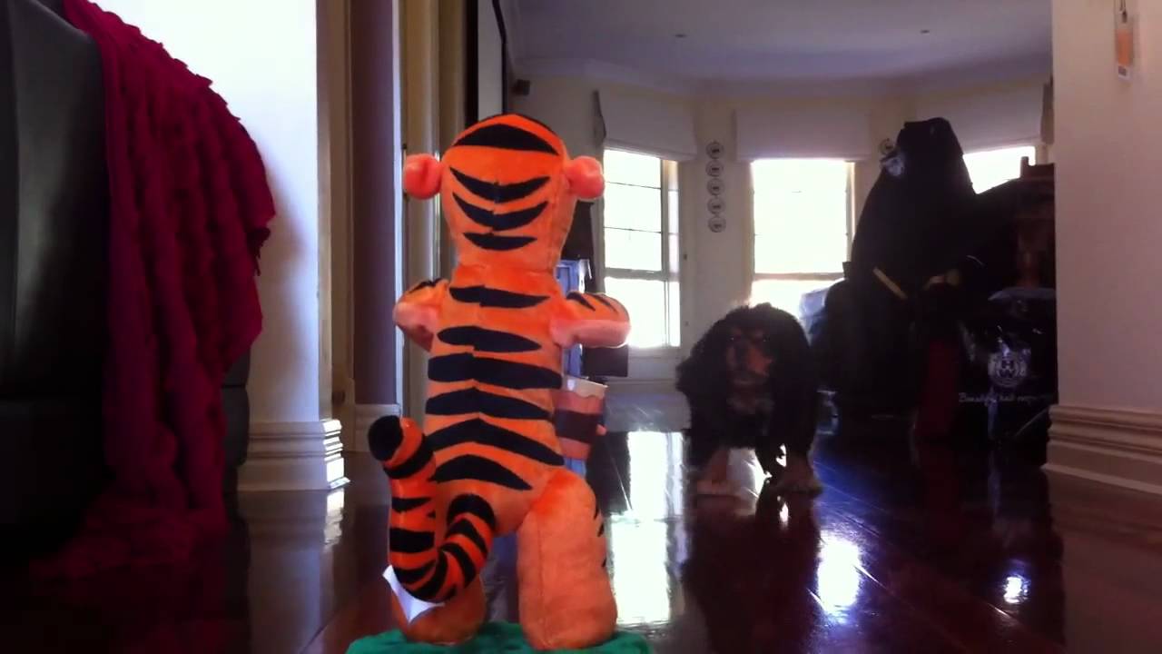 Cute dog Vs Tigger - YouTube